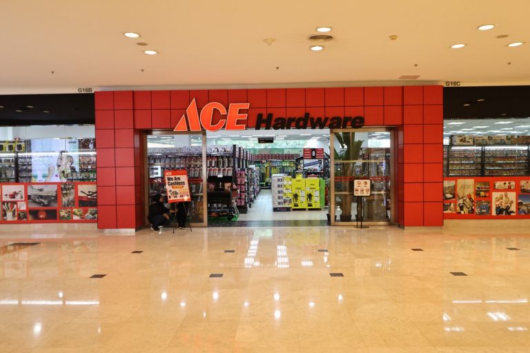 ACE Hardware – the Curve Shopping Mall